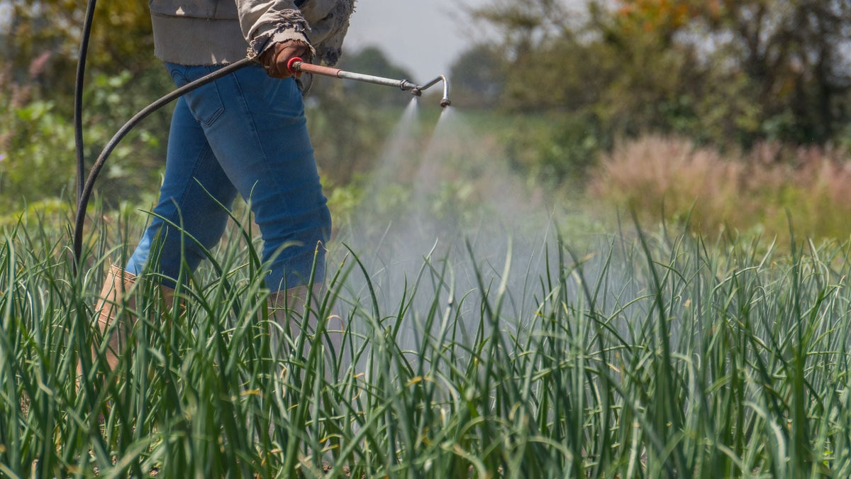 Fertilizer Safety: Essential Handling & Application Guide – Fancy Chicken